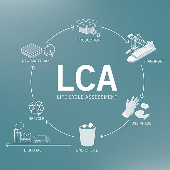 Understanding Life Cycle Assessments: Common Questions and ...